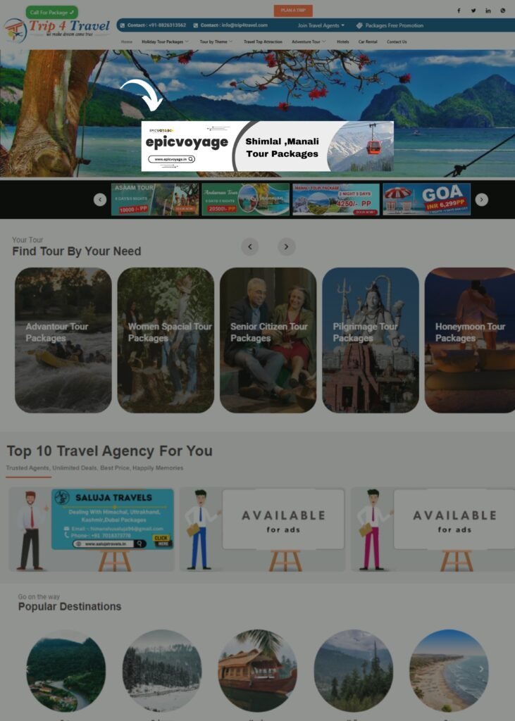 Digital Browser - Trip4Travel